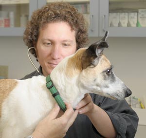 Pet Nutrition Breakthrough